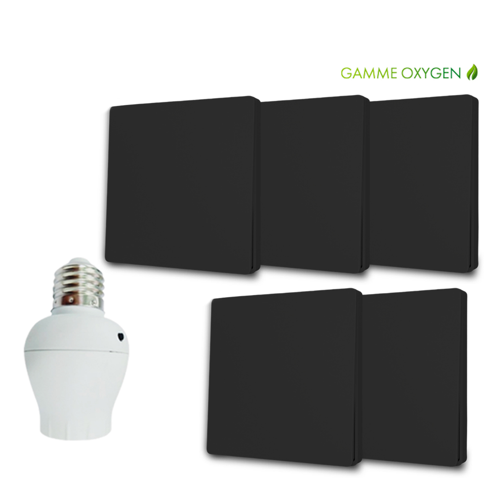 Kit interrutpeur sans fil et sans pile - adaptateur douille à vis radio ...